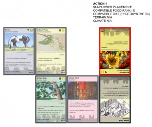 Ecosystem Game – Basic Rules (Version 1.4a) | PHYLO: THE TRADING CARD GAME