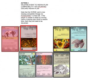 Ecosystem Game – Basic Rules (Version 1.4a) | PHYLO: THE TRADING CARD GAME