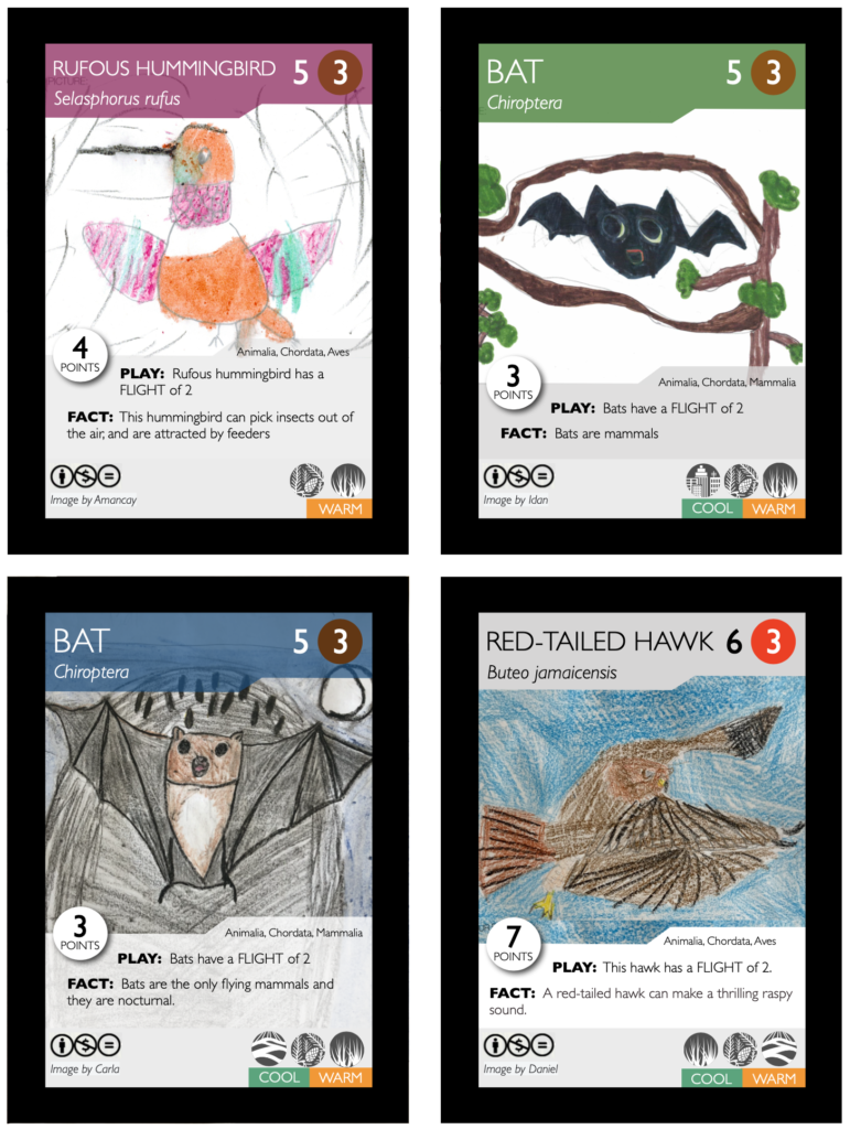 Blog | PHYLO: THE TRADING CARD GAME