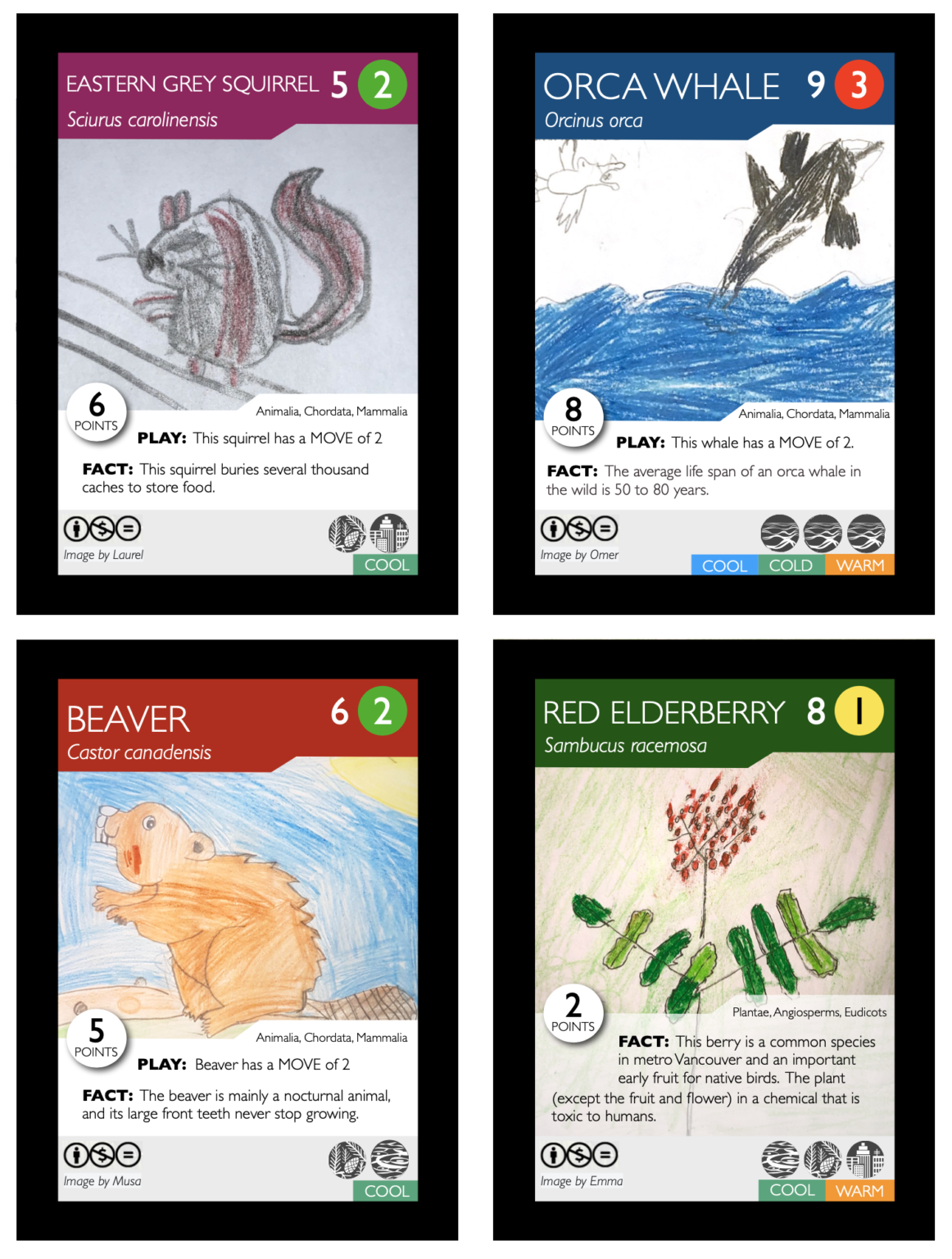 Blog | PHYLO: THE TRADING CARD GAME