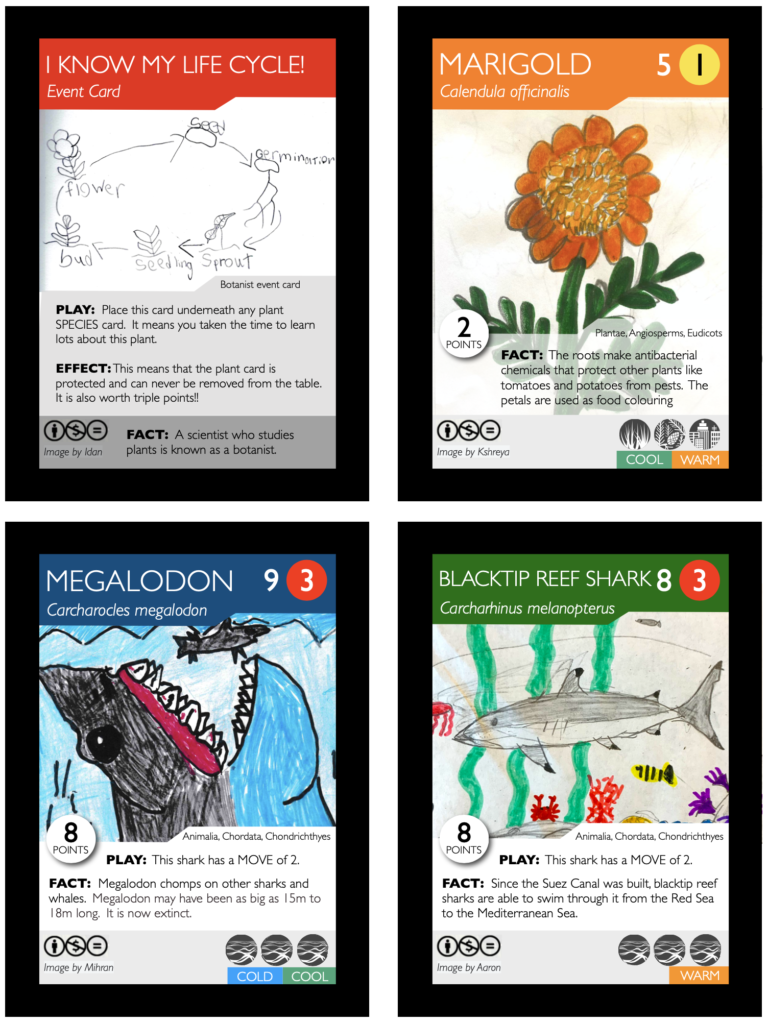 Blog | PHYLO: THE TRADING CARD GAME